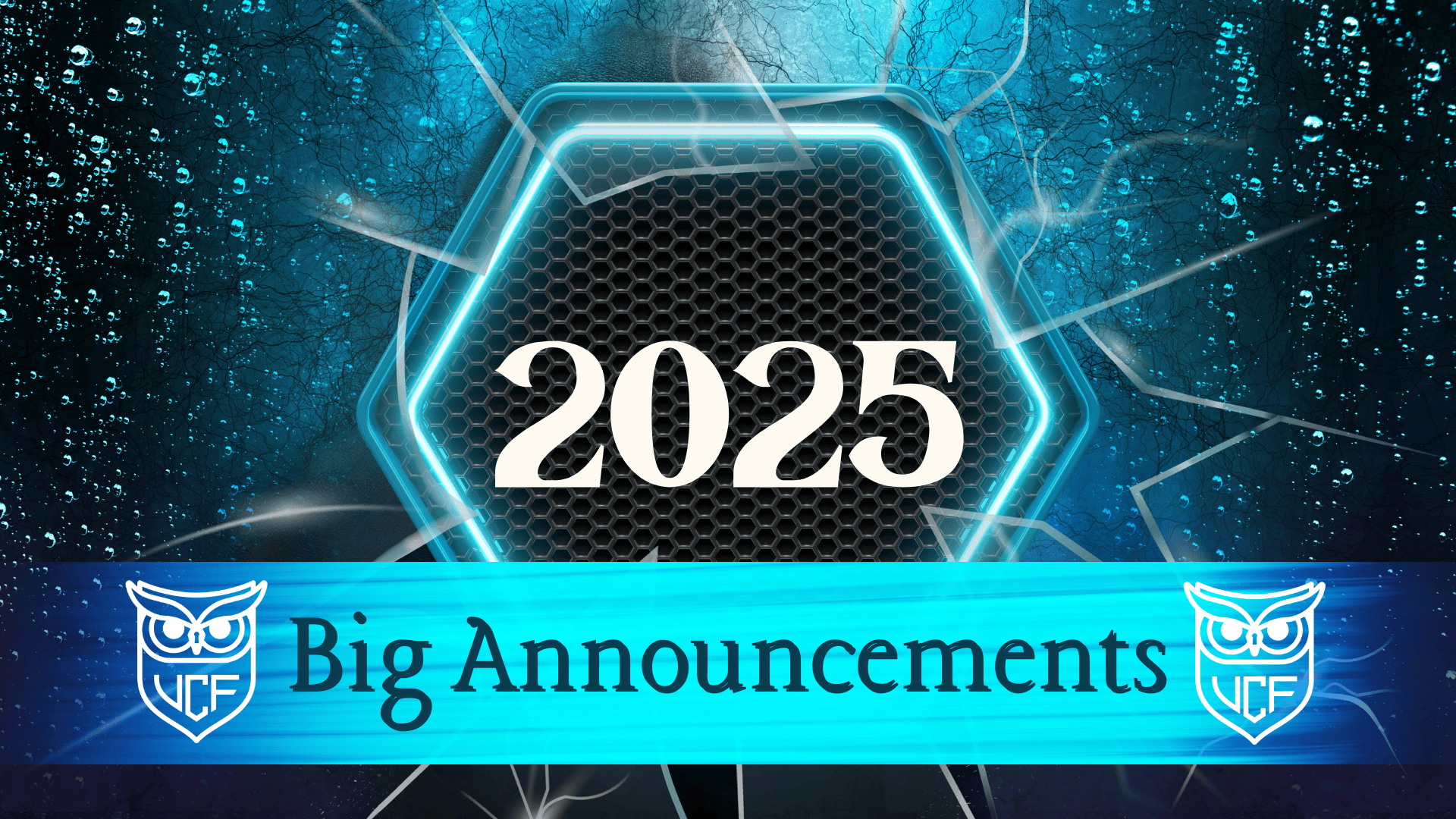 New Year 2025 Revelations! – B2B2C2C.ORG